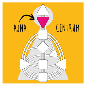 Centra – Human Design Shop & More