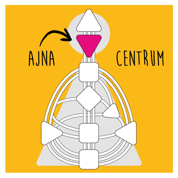 Centra – Human Design Shop & More